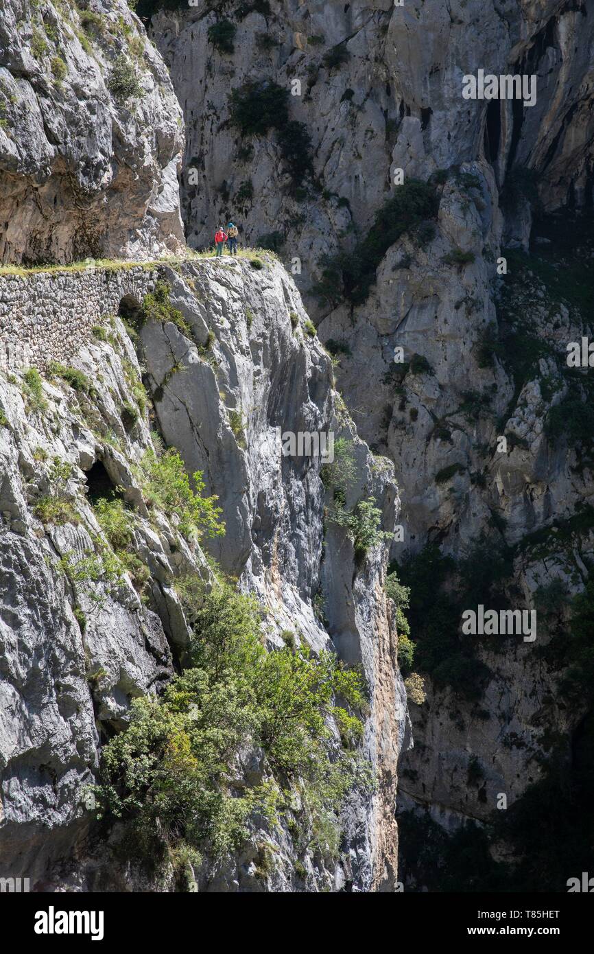Cabrales spain hi-res stock photography and images - Alamy