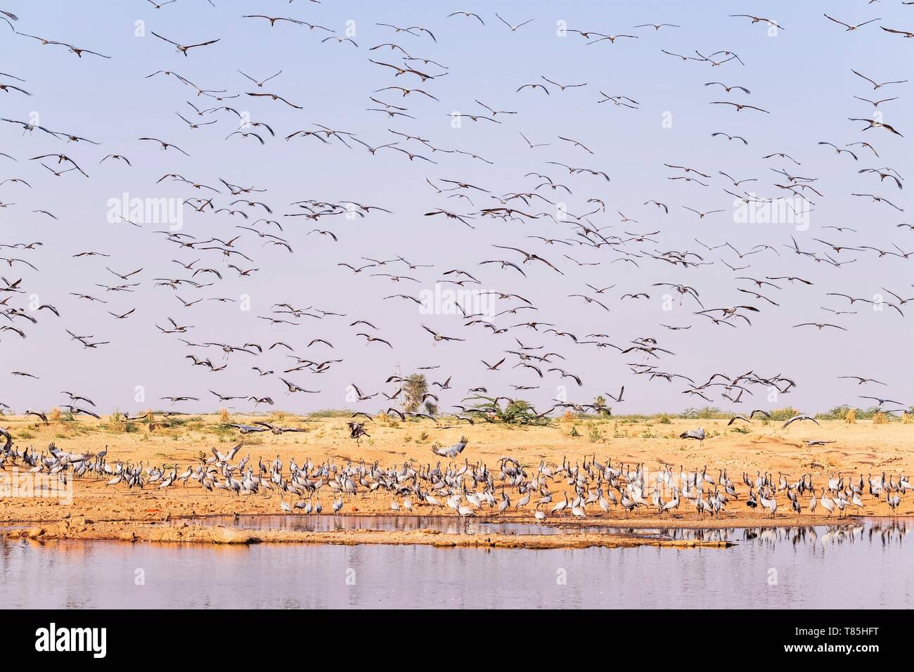 Thar thar lake hi-res stock photography and images - Alamy