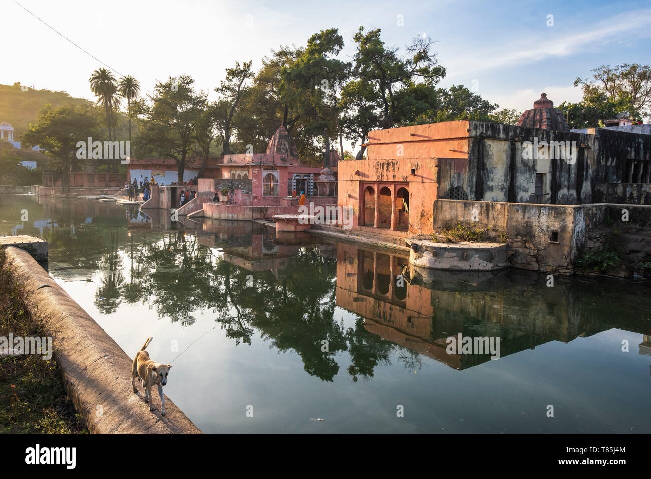 Ban ganga hi-res stock photography and images - Alamy