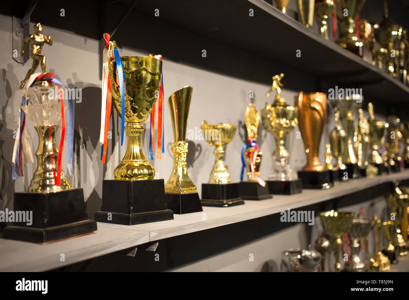 Some golden winning cups in the room Stock Photo - Alamy