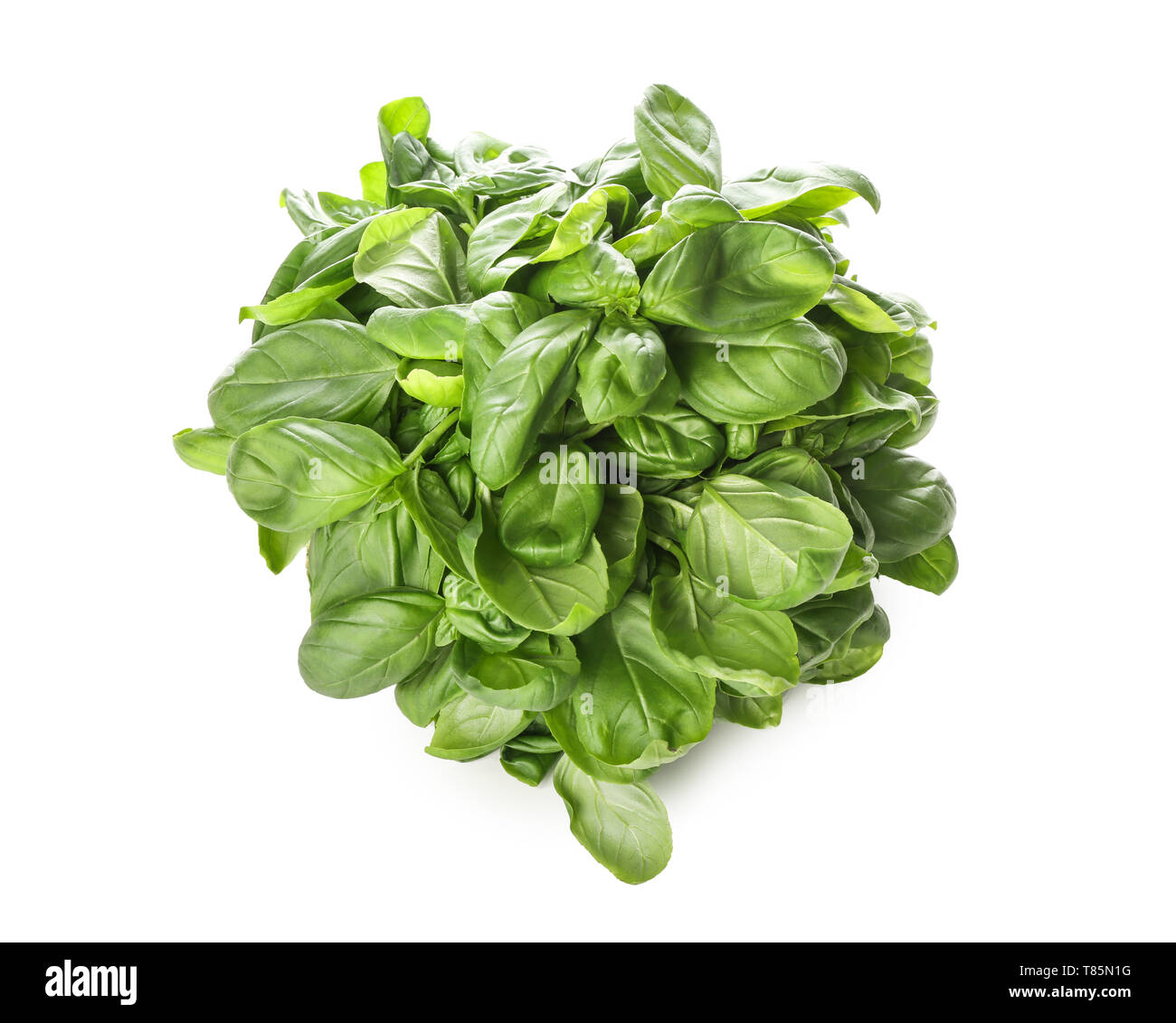 Bunch of fresh basil on white background Stock Photo - Alamy