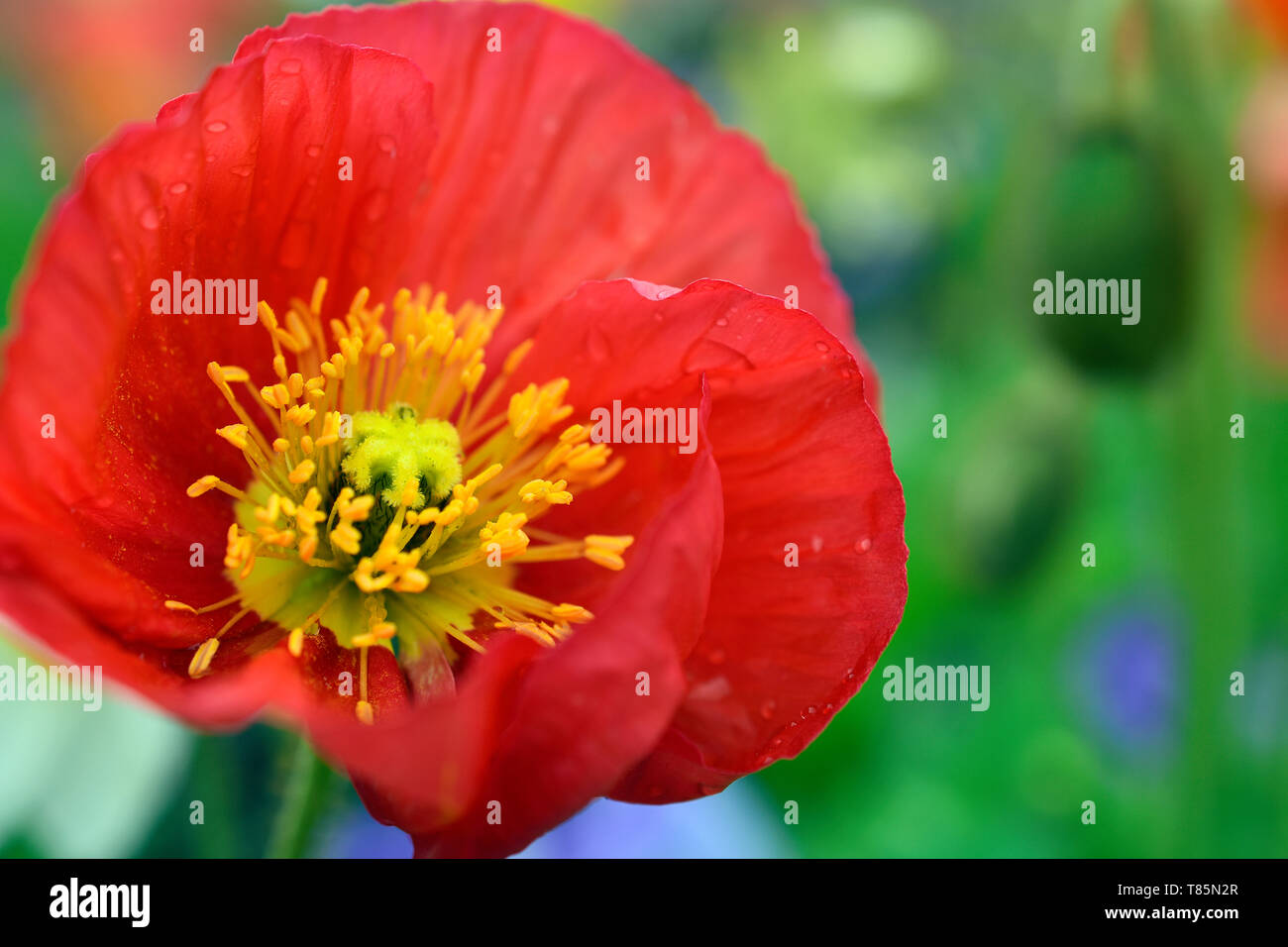 Warm spring day fields hi-res stock photography and images - Alamy