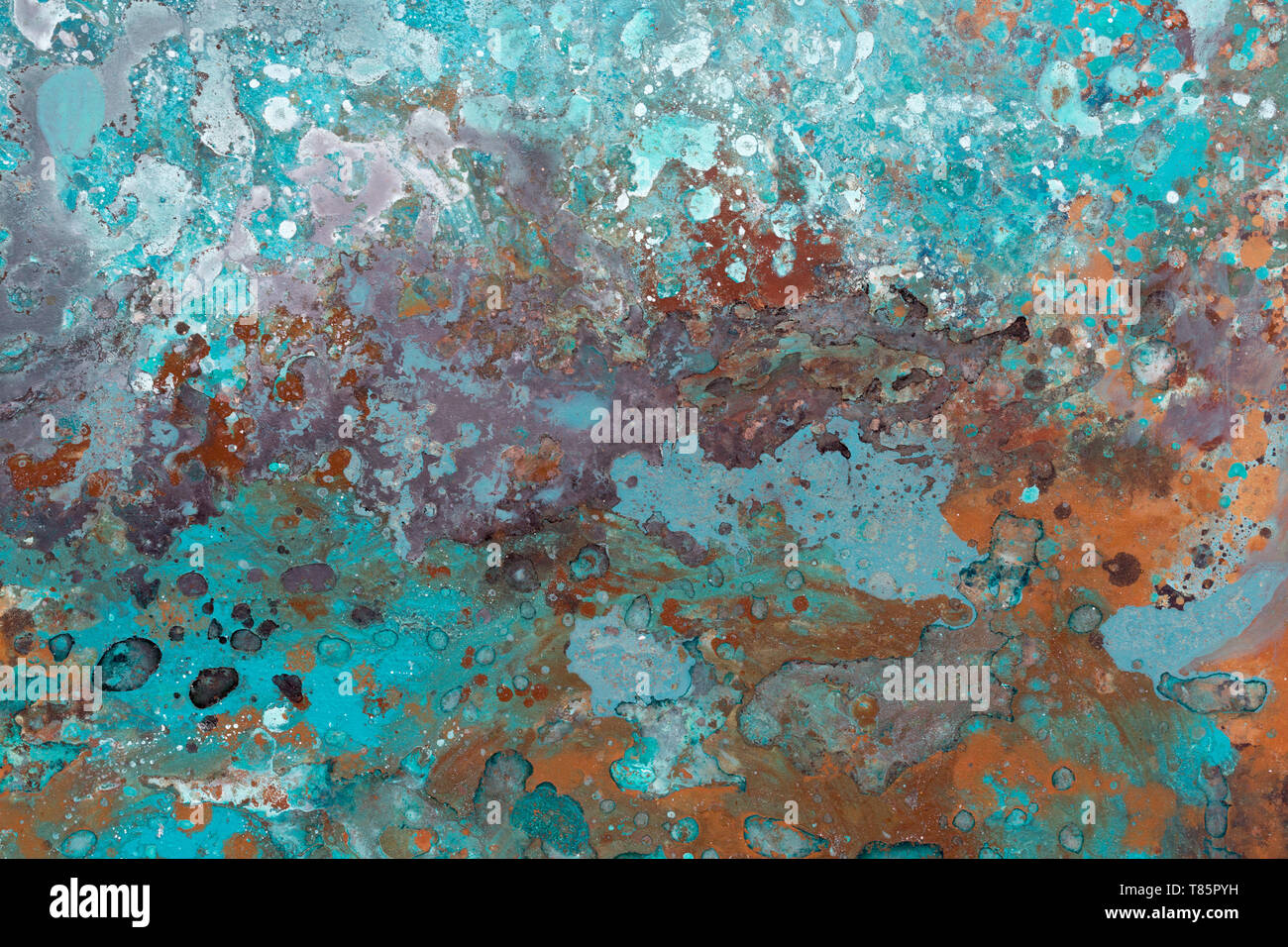 Admirable hi-res stock photography and images - Alamy