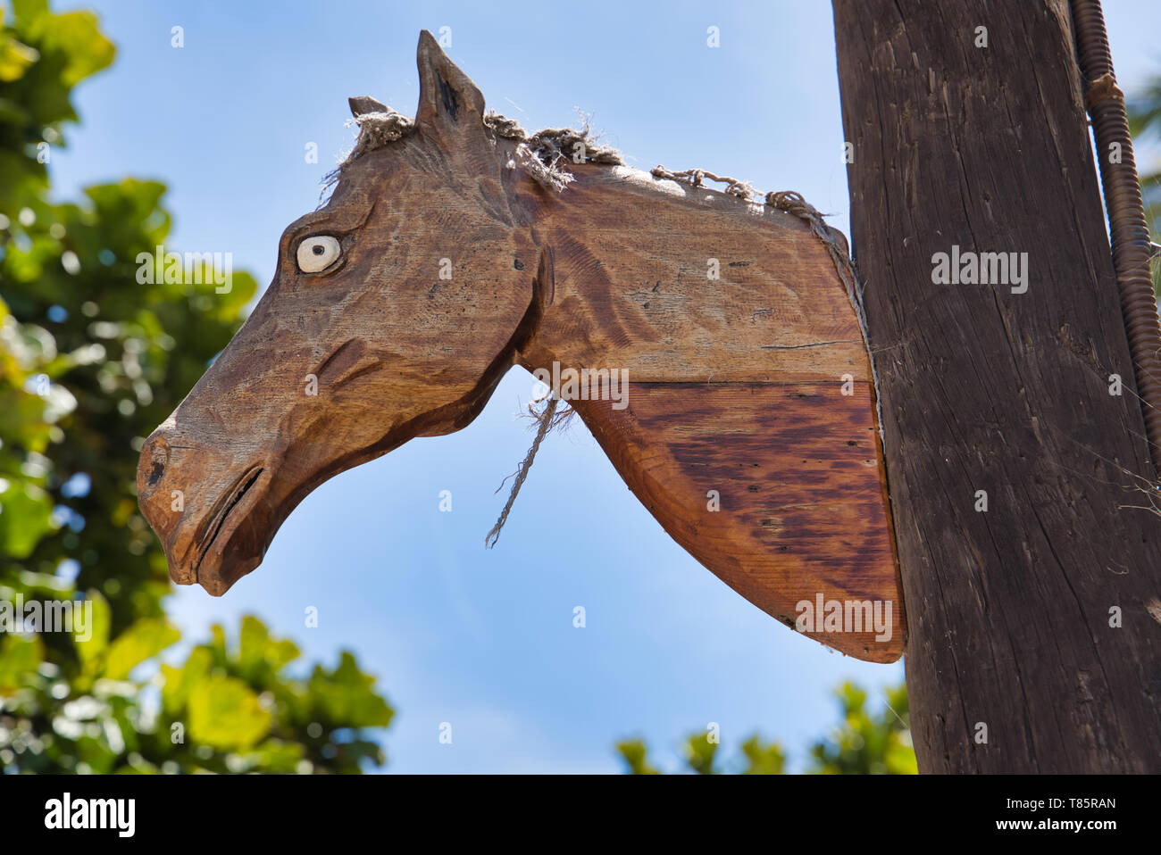 Puerto del carmen, Spain - APRIL 19, 2019: Wooden horse head indicating ...
