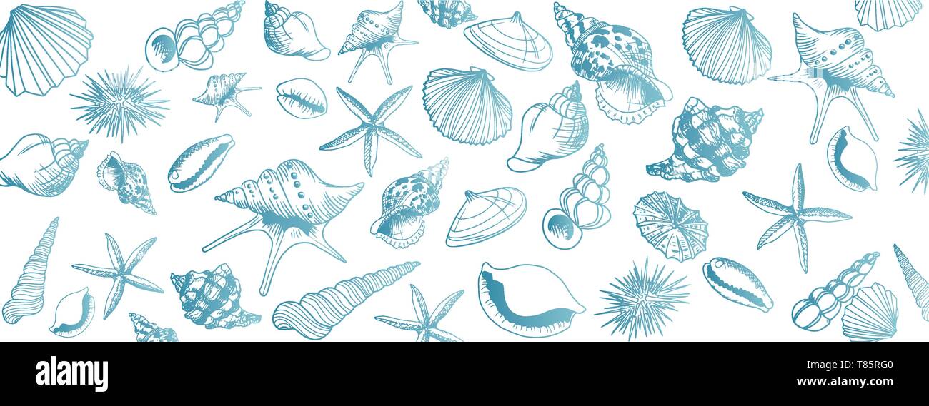 Vector seashell doodles full vector large banner Stock Vector Image ...