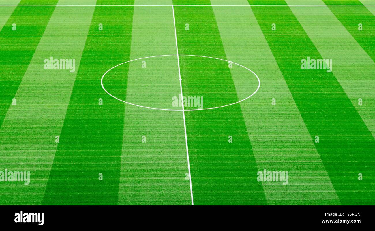 Green football playing field. Football stadium Stock Photo - Alamy