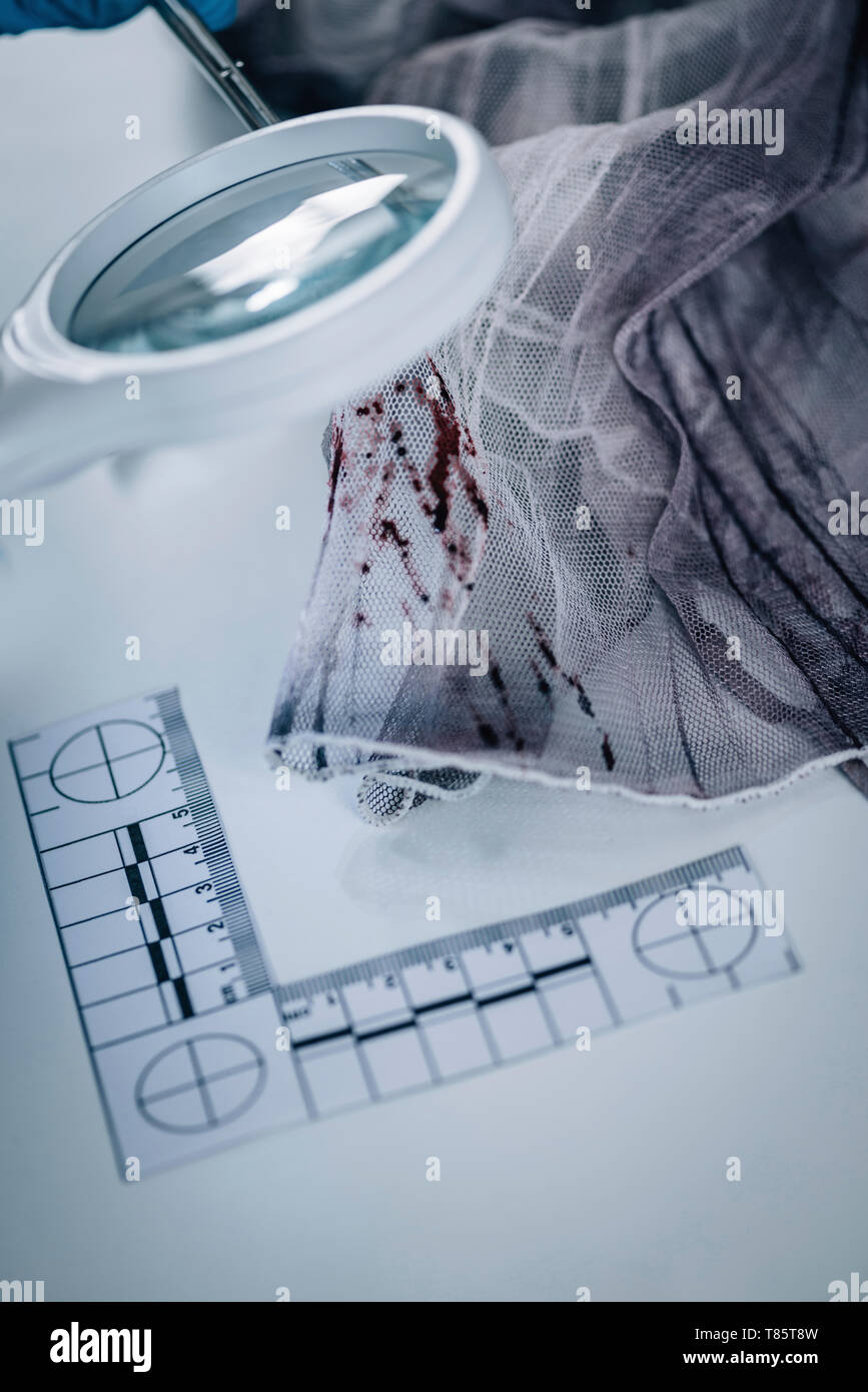 Crime scene magnifying glass hi-res stock photography and images - Alamy