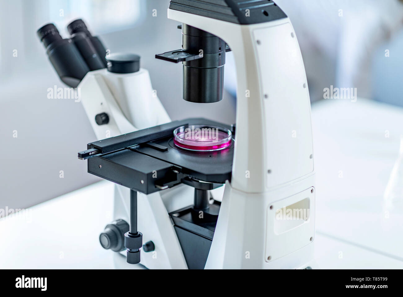 Microscope in laboratory Stock Photo - Alamy