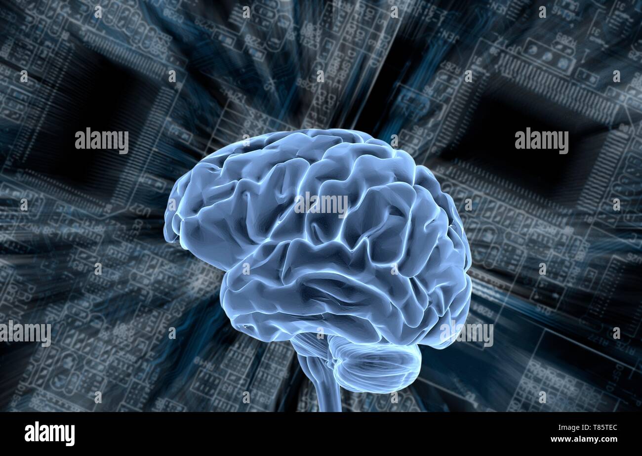 Artificial intelligence, conceptual illustration Stock Photo - Alamy