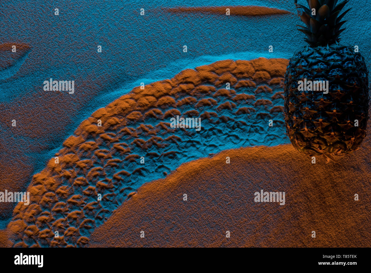 top view of pineapple trace on sand with color filter and copy space ...