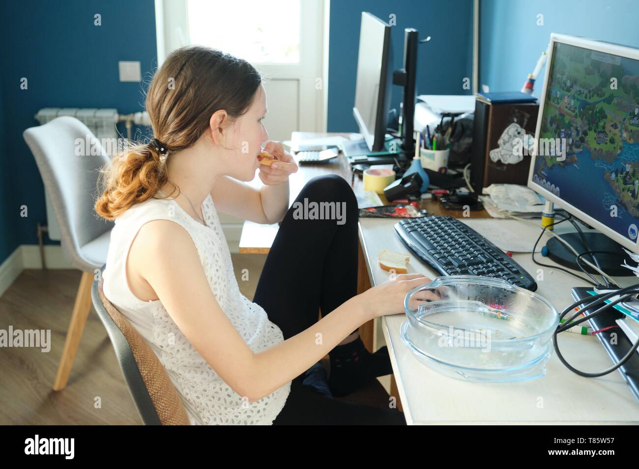 Eat sandwich teen girl hi-res stock photography and images - Alamy