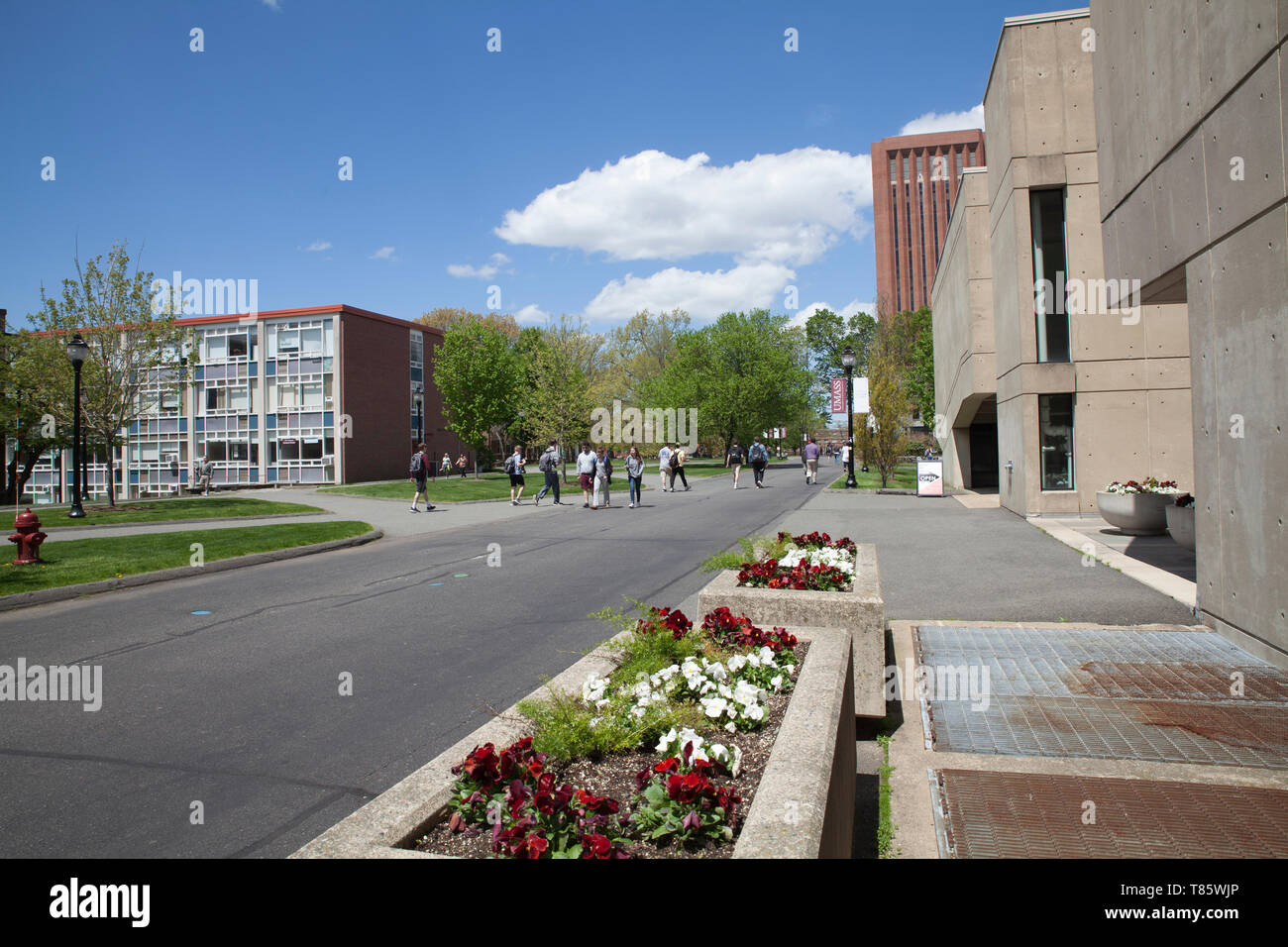 Umass university campus amherst hi-res stock photography and images - Alamy