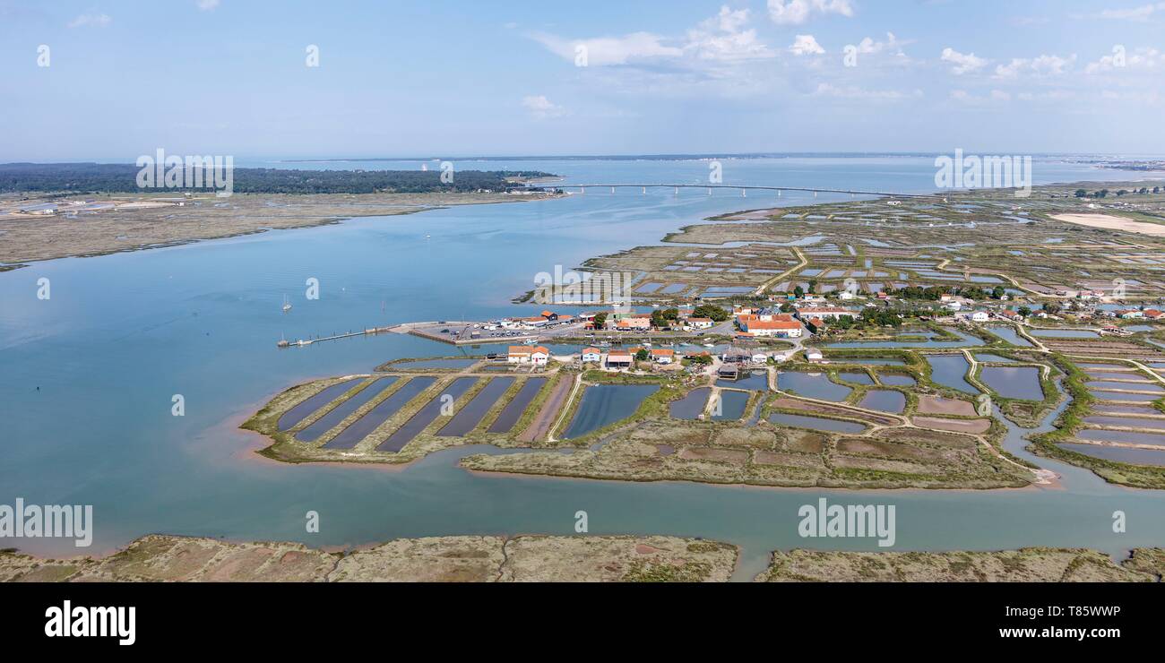France, Charente Maritime, Marennes, la Cayenne and the Seudre estuary ...