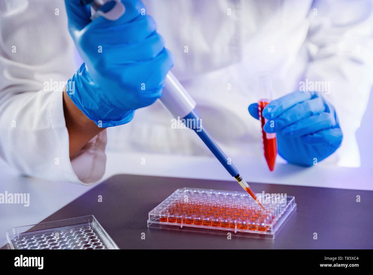 Genetic engineering and pipette hi-res stock photography and images - Alamy