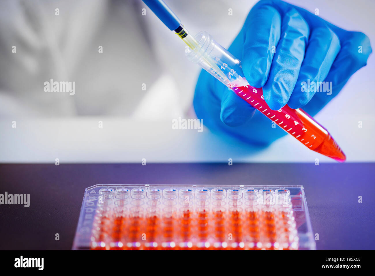 Scientist pipetting sample phial hi-res stock photography and images ...