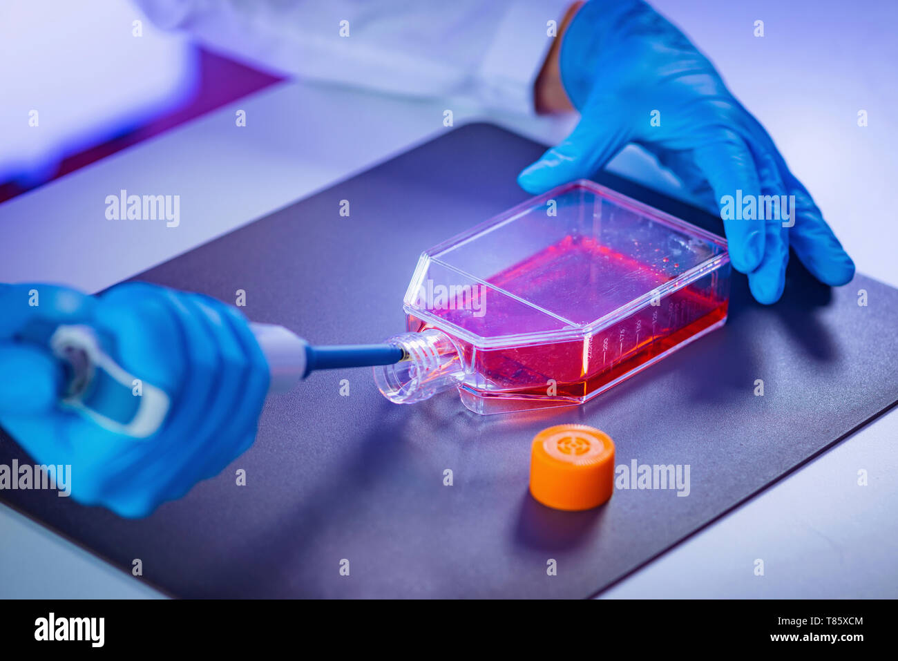 Scientist pipetting sample phial hi-res stock photography and images ...