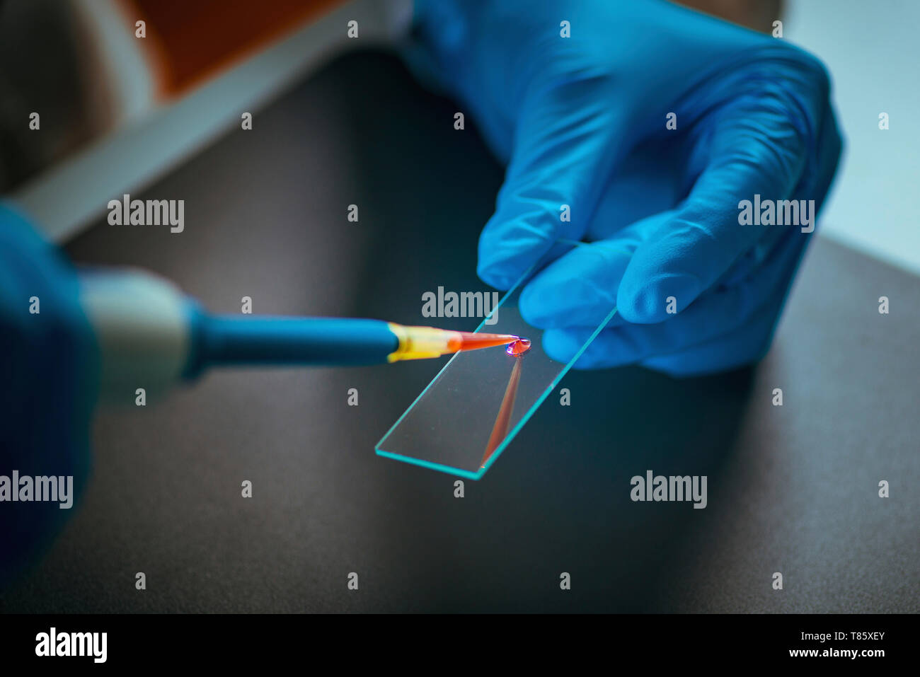 Scientist preparing microscope slide Stock Photo - Alamy