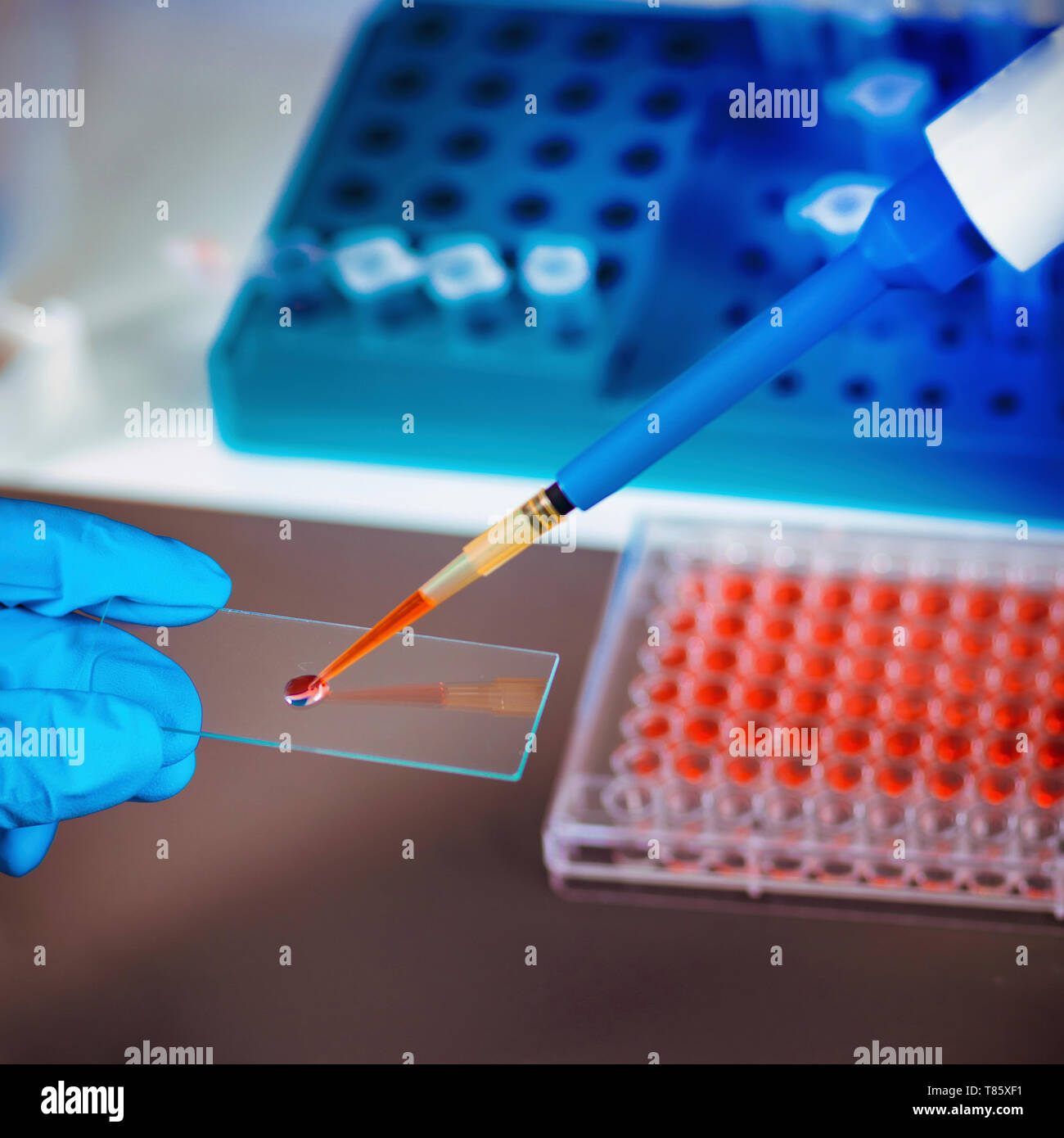 Preparing to slide hi-res stock photography and images - Alamy