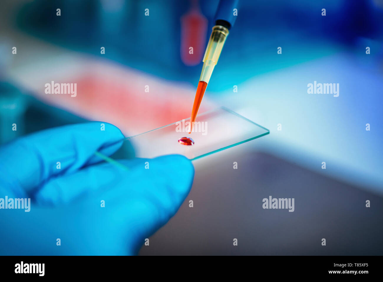 Scientist preparing microscope slide Stock Photo - Alamy