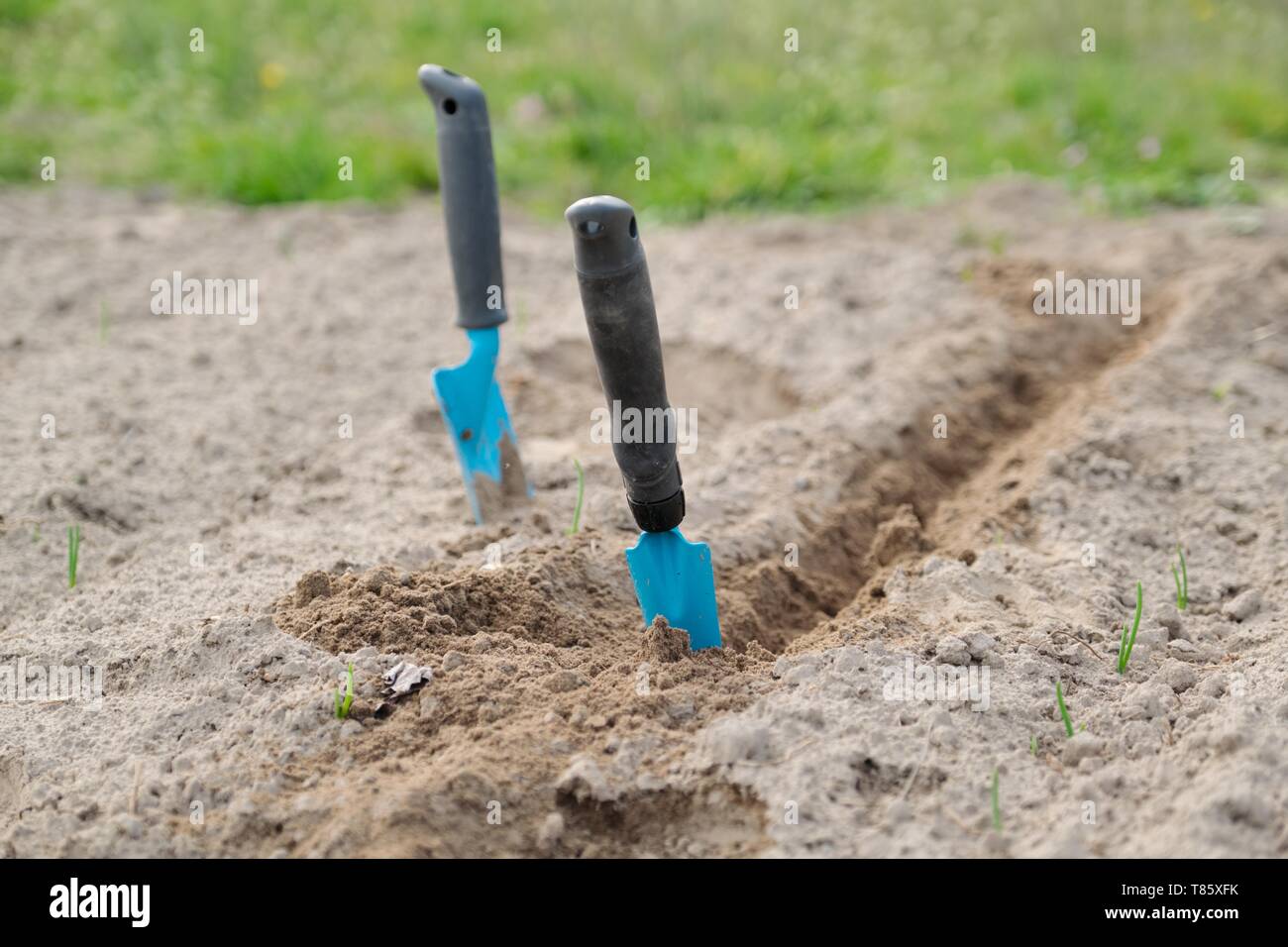 Garden tools in the soil, spring work on the ground Stock Photo - Alamy