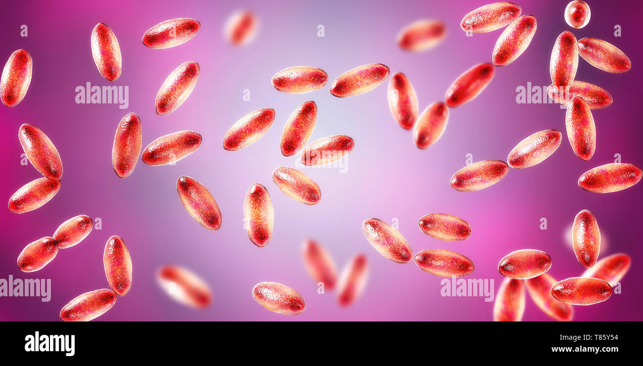 Illustration of the black death hi-res stock photography and images - Alamy