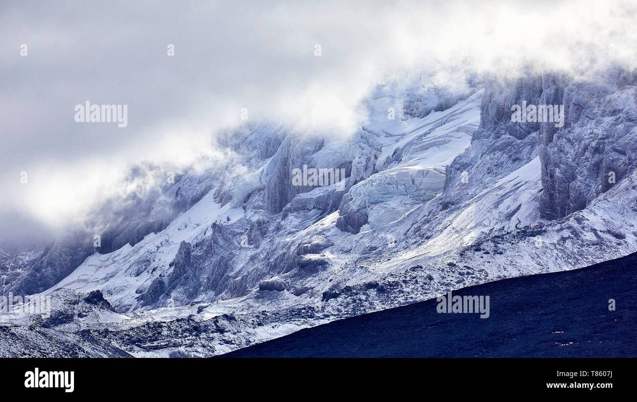 France, French Southern and Antarctic Lands, Kerguelen Islands, rocks ...