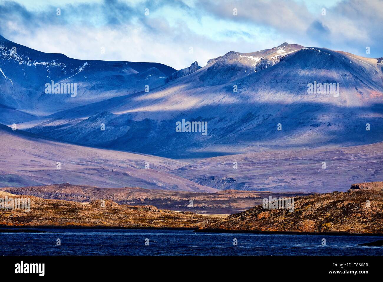 Kerguelen island hi-res stock photography and images - Alamy