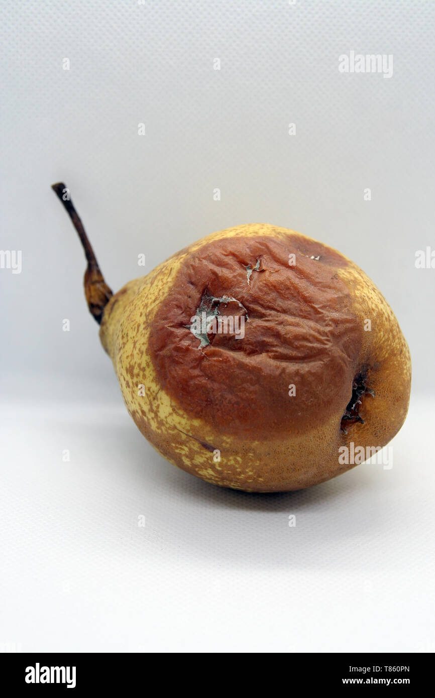 Rotten pear hi-res stock photography and images - Alamy