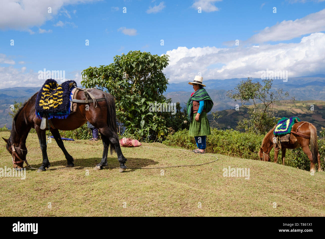 Donkey ride woman hi-res stock photography and images - Alamy