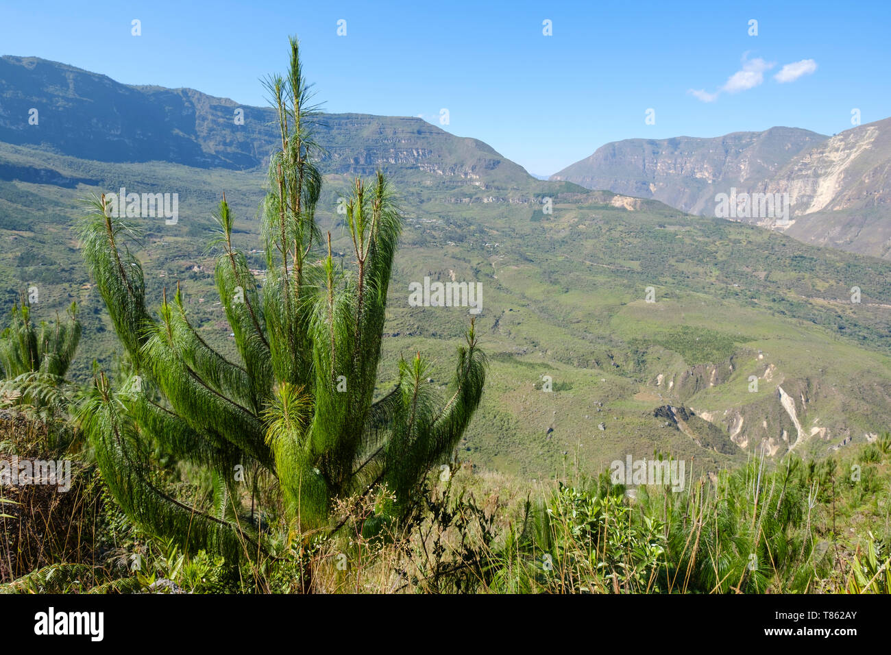 Impressive landscape views during Gocta Waterfall hike on Chachapoyas ...