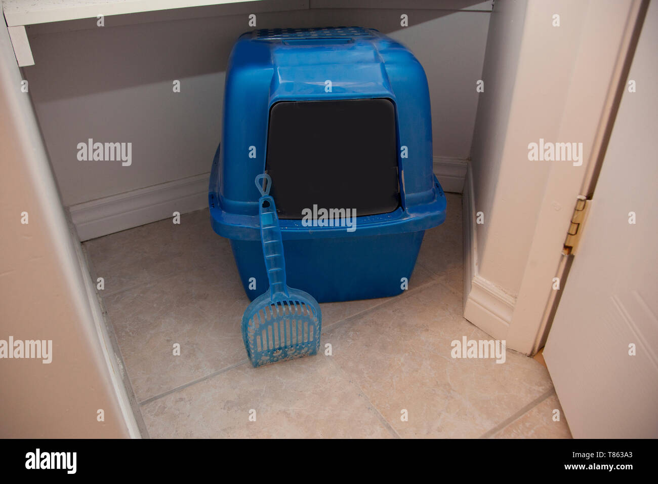 A blue litter box for a cat with a hood and swinging door with a ...