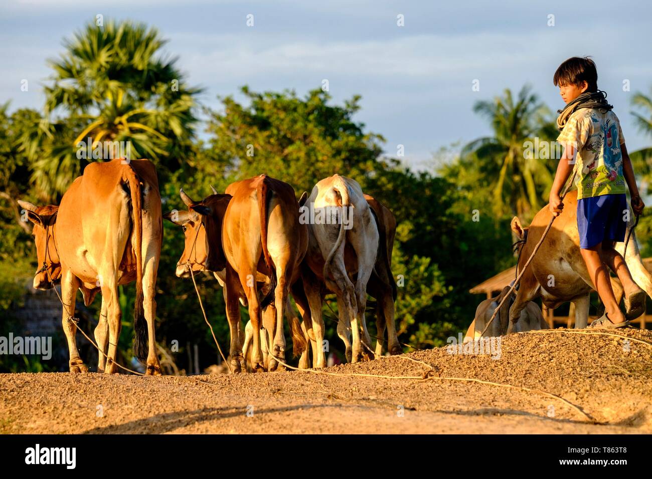 Cambodia kompong thom province kompong hi-res stock photography and ...