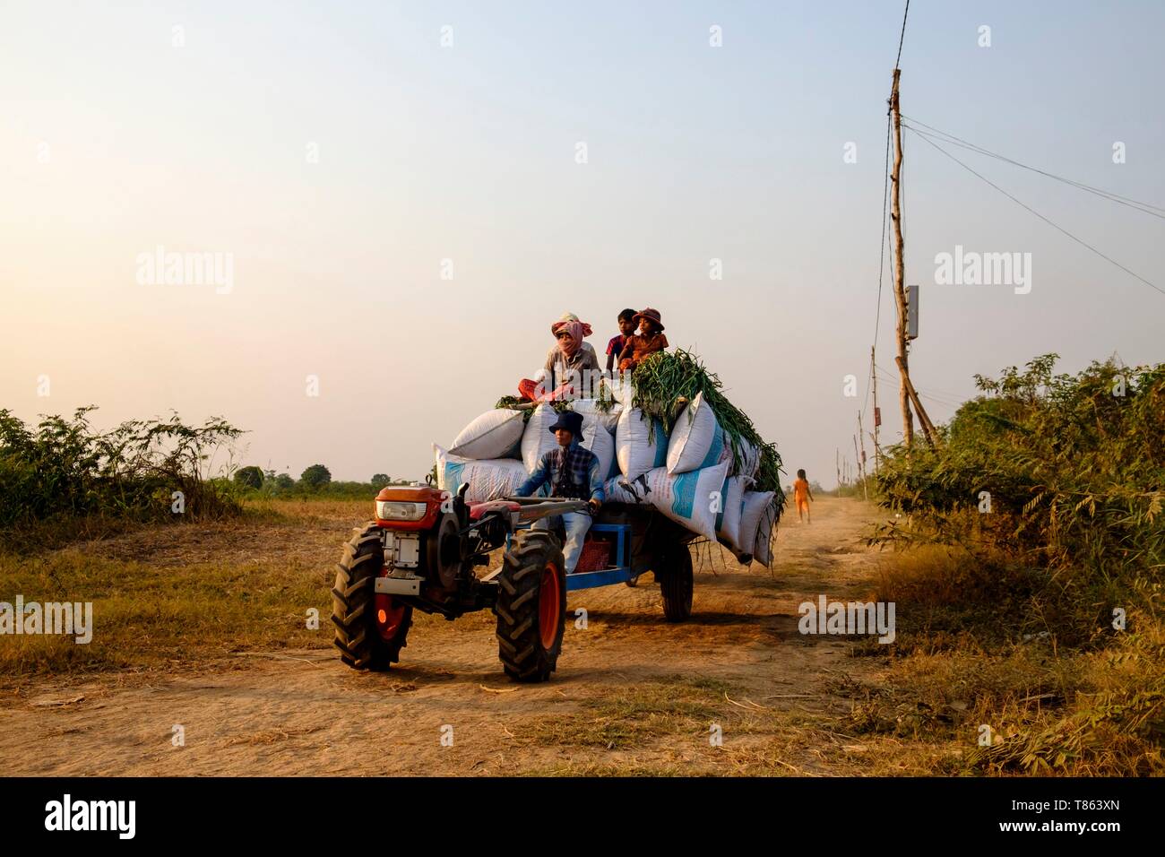 Cambodia, Kompong Chhnang or Kampong Chhnang, local transport Stock ...