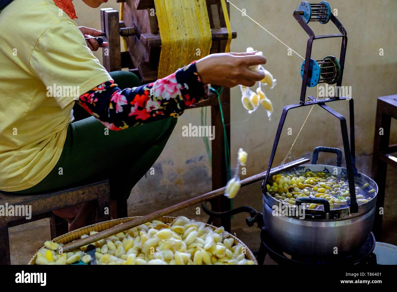 Cambodia, Siem Reap province, Angkor, handicraft, silk work, extracting ...