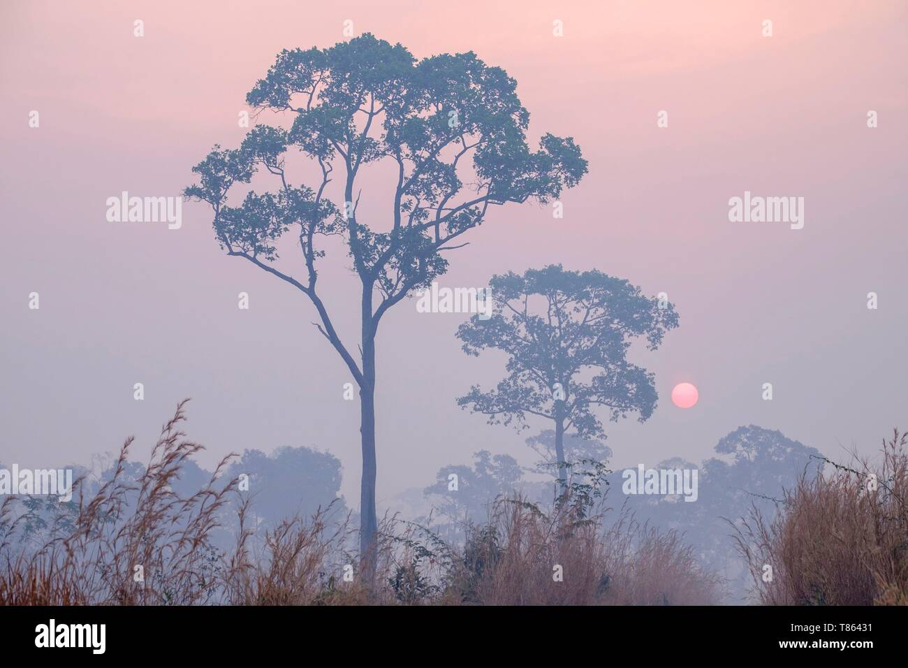 Devastated Landscape Stock Photos & Devastated Landscape Stock Images ...