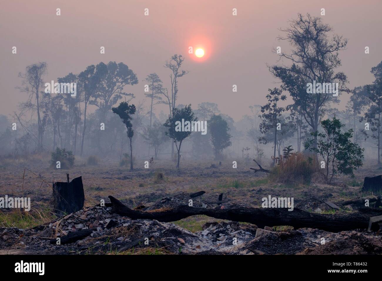 Devastated landscape hi-res stock photography and images - Alamy