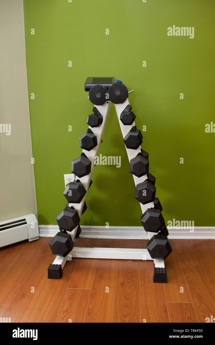 Different size and weights of dumbells at a gym Stock Photo - Alamy