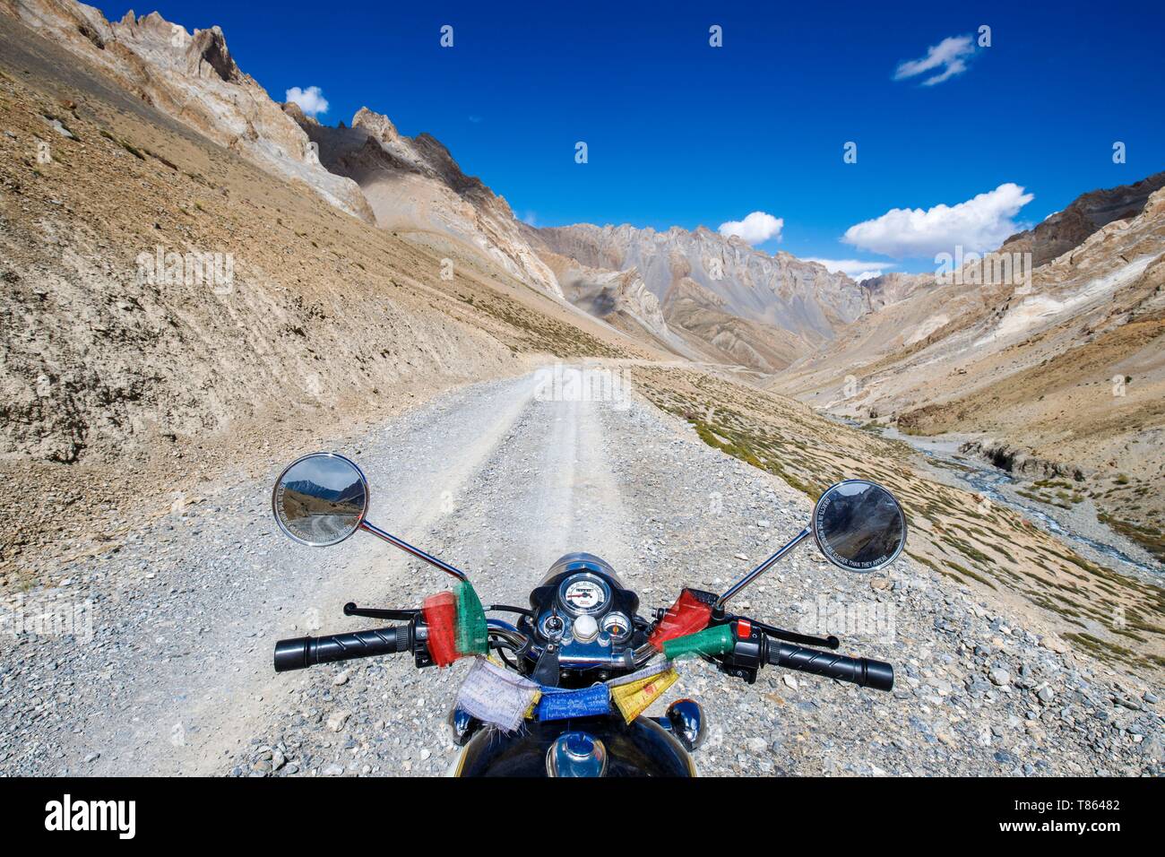 India, state of Jammu and Kashmir, Himalaya, Ladakh, Zanskar, Hanupatta ...