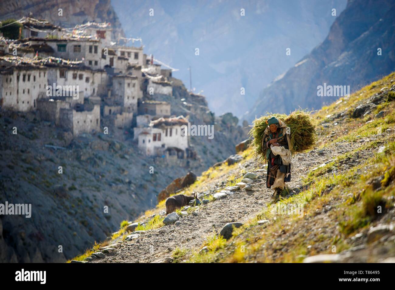 Zanskar house hi-res stock photography and images - Alamy