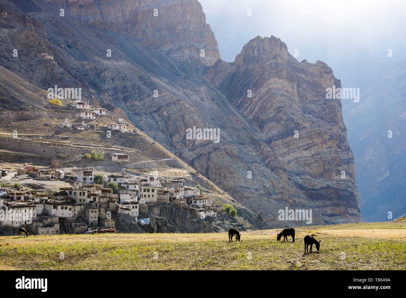 Zanskar house hi-res stock photography and images - Alamy