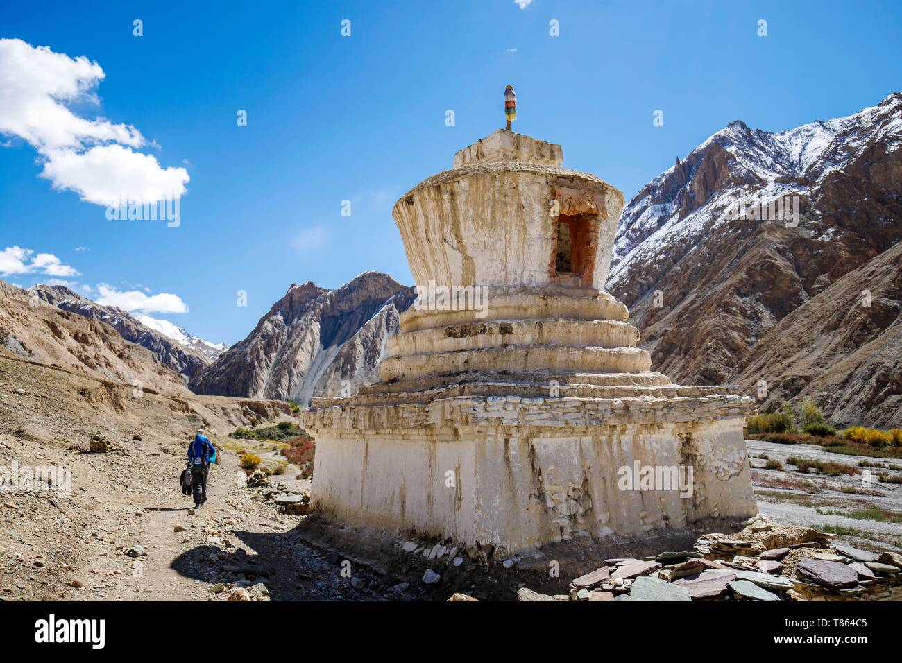 India, state of Jammu and Kashmir, Himalaya, Ladakh, Hemis National ...