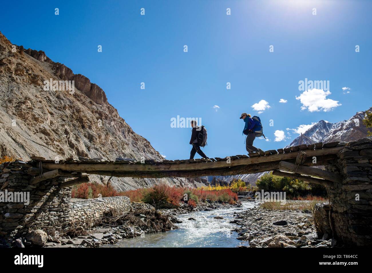 India, state of Jammu and Kashmir, Himalaya, Ladakh, Hemis National ...