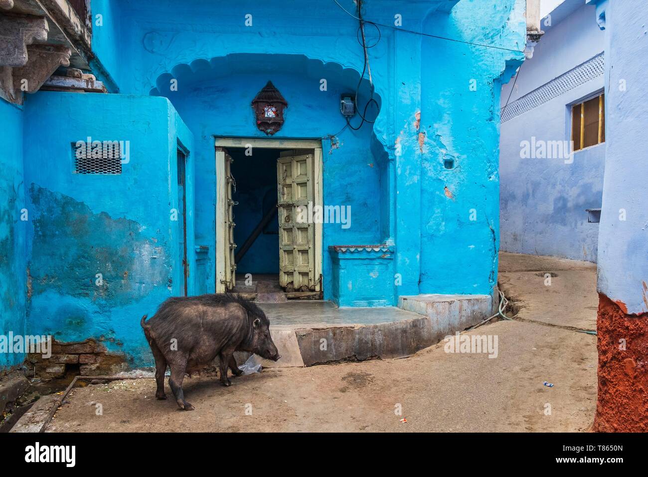 India alleyway hi-res stock photography and images - Alamy