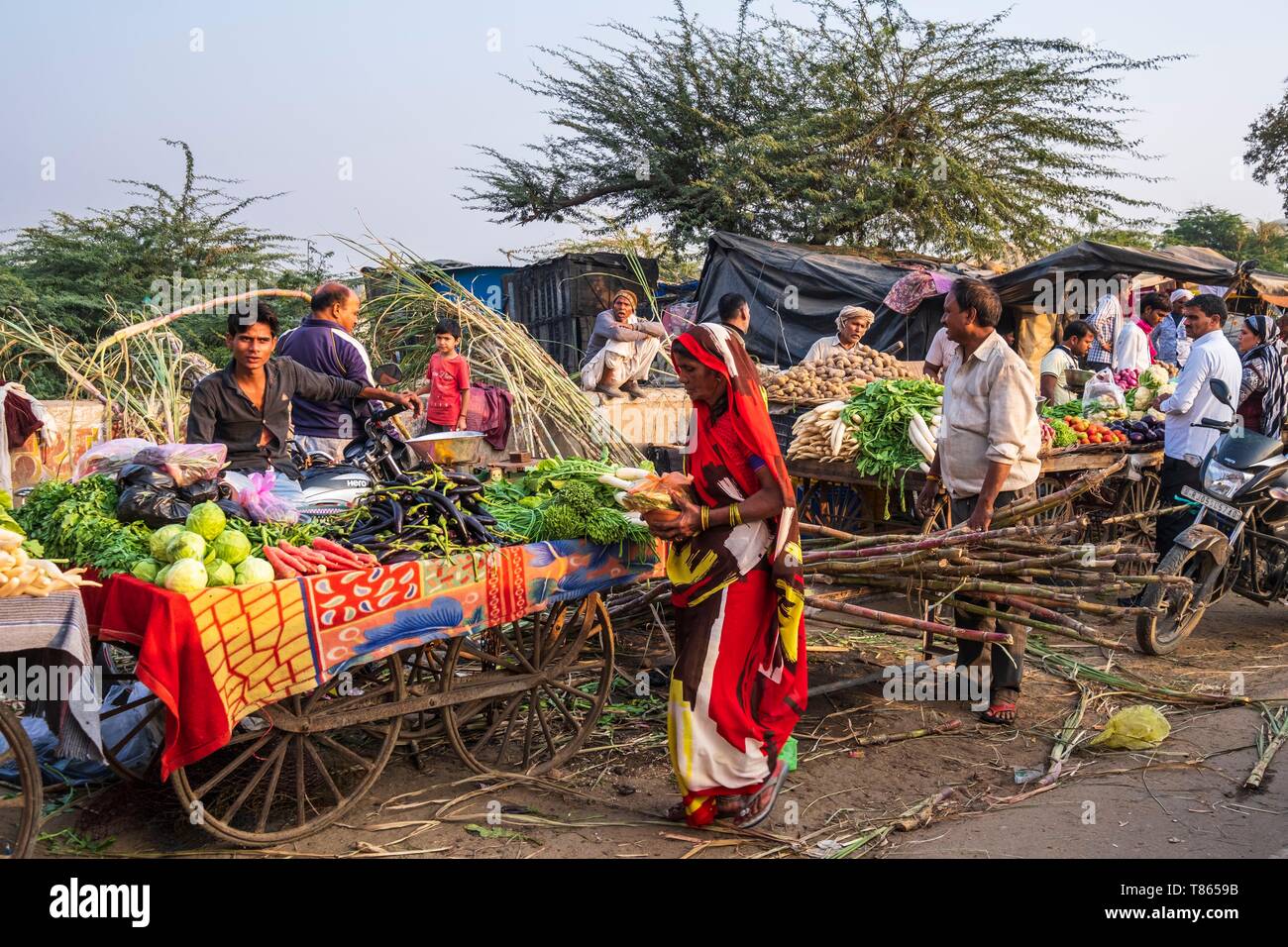 India, Rajasthan, Bharatpur, street market Stock Photo - Alamy