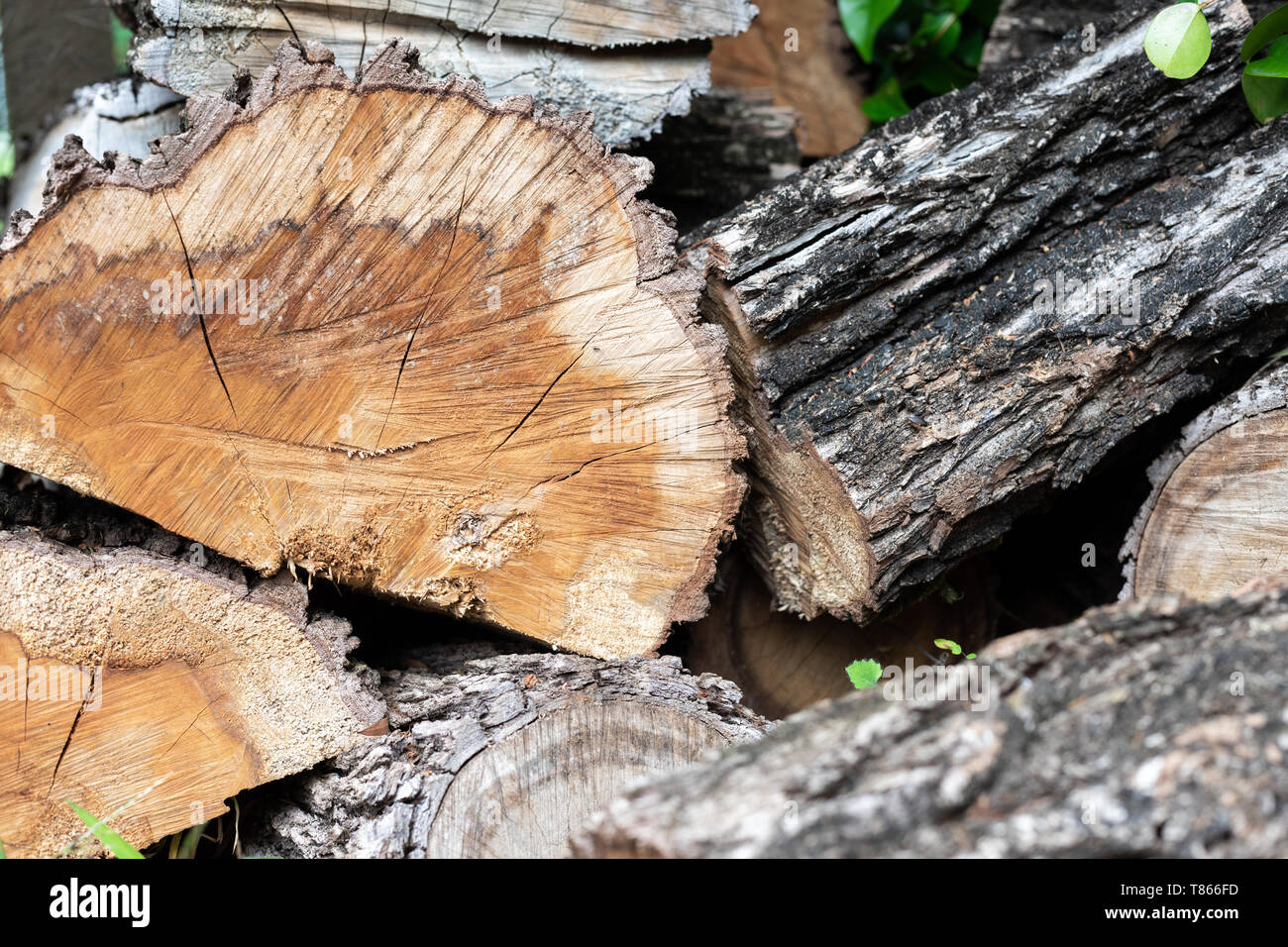 Rustic pile of chopped firewood in a backyard garden, big chunky logs ...