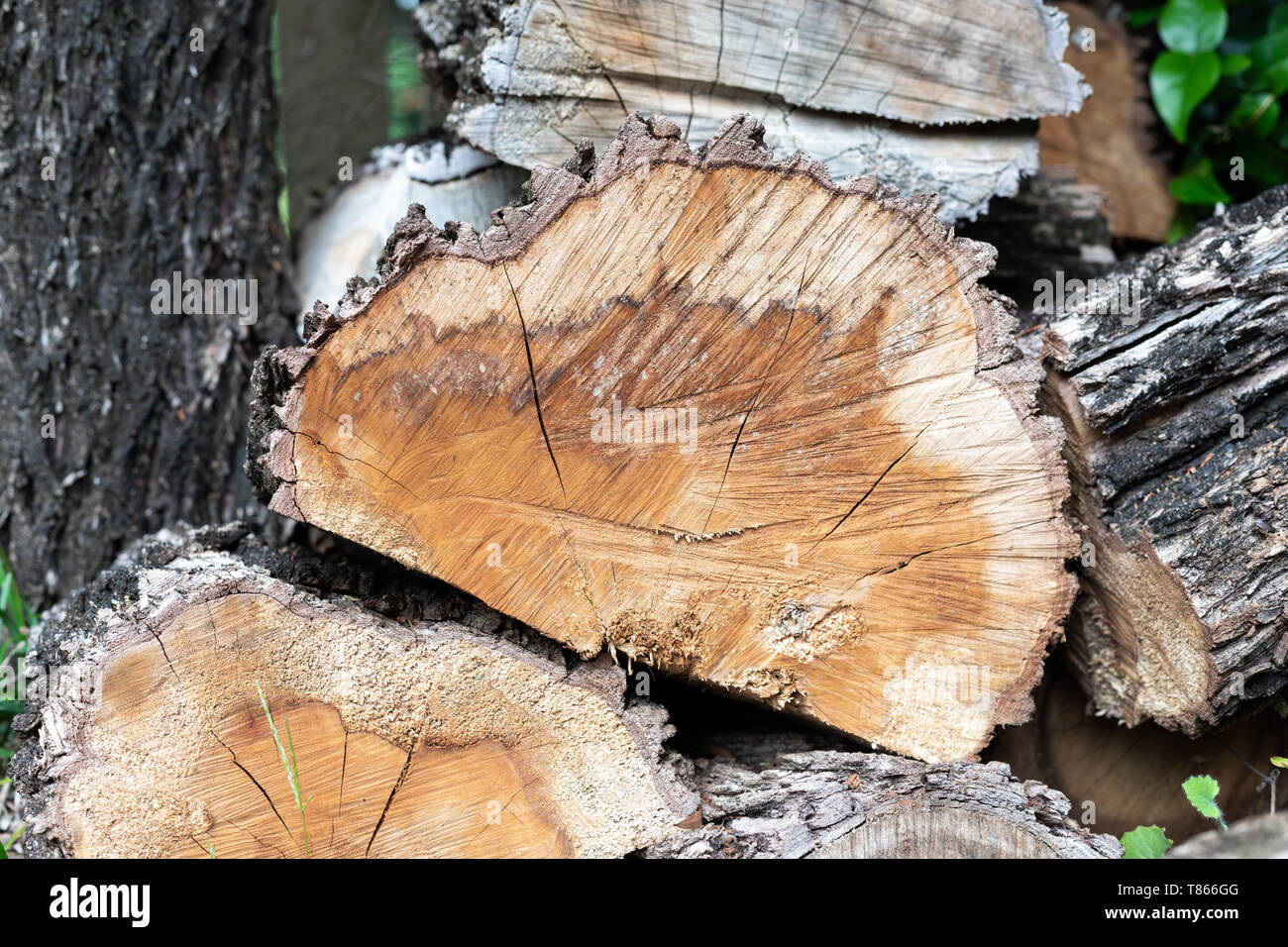 Rustic pile of chopped firewood in a backyard garden, big chunky logs ...