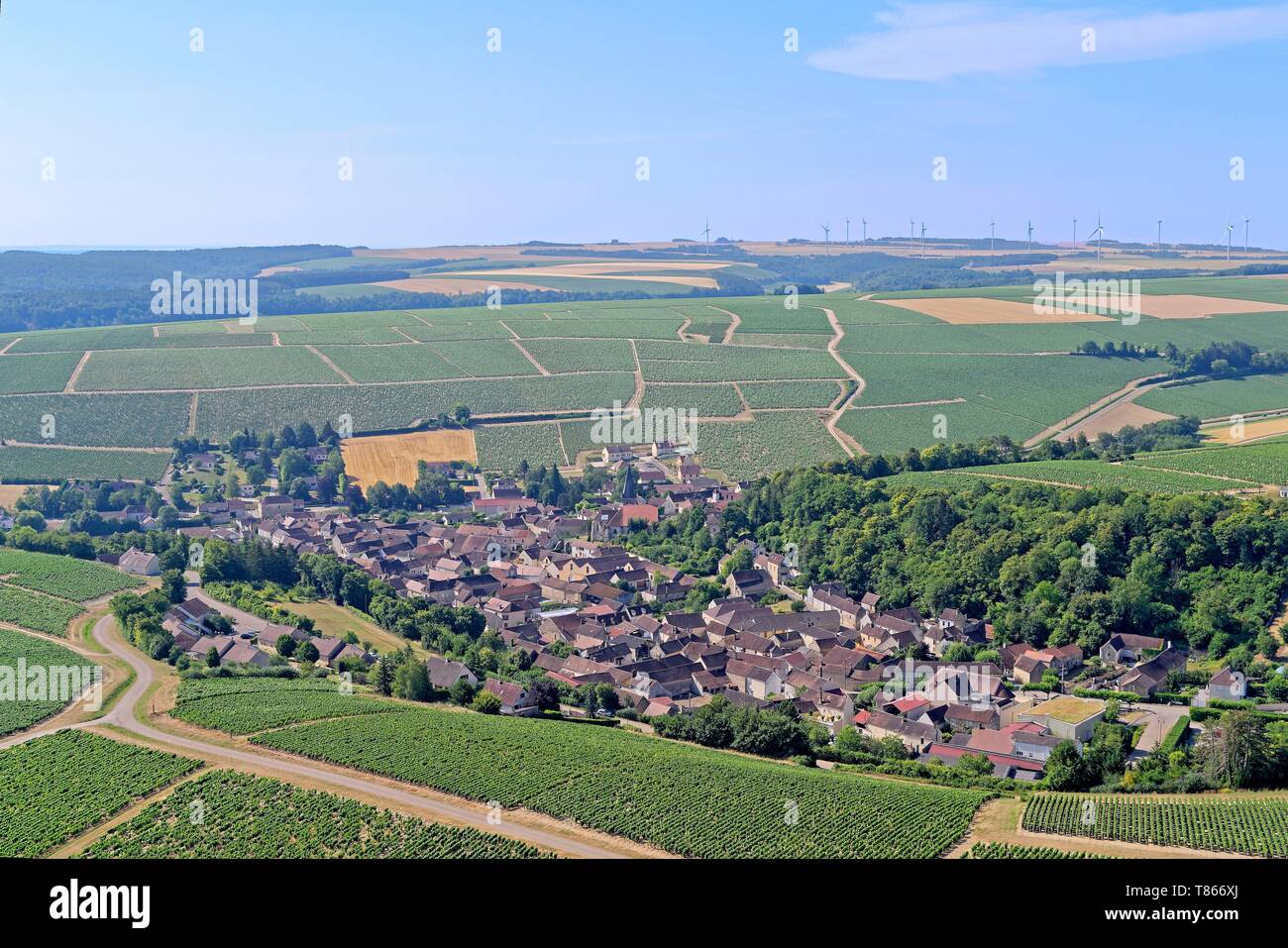 France, Yonne, Beine, the hillside, vintage wines of Chablis (aerial ...