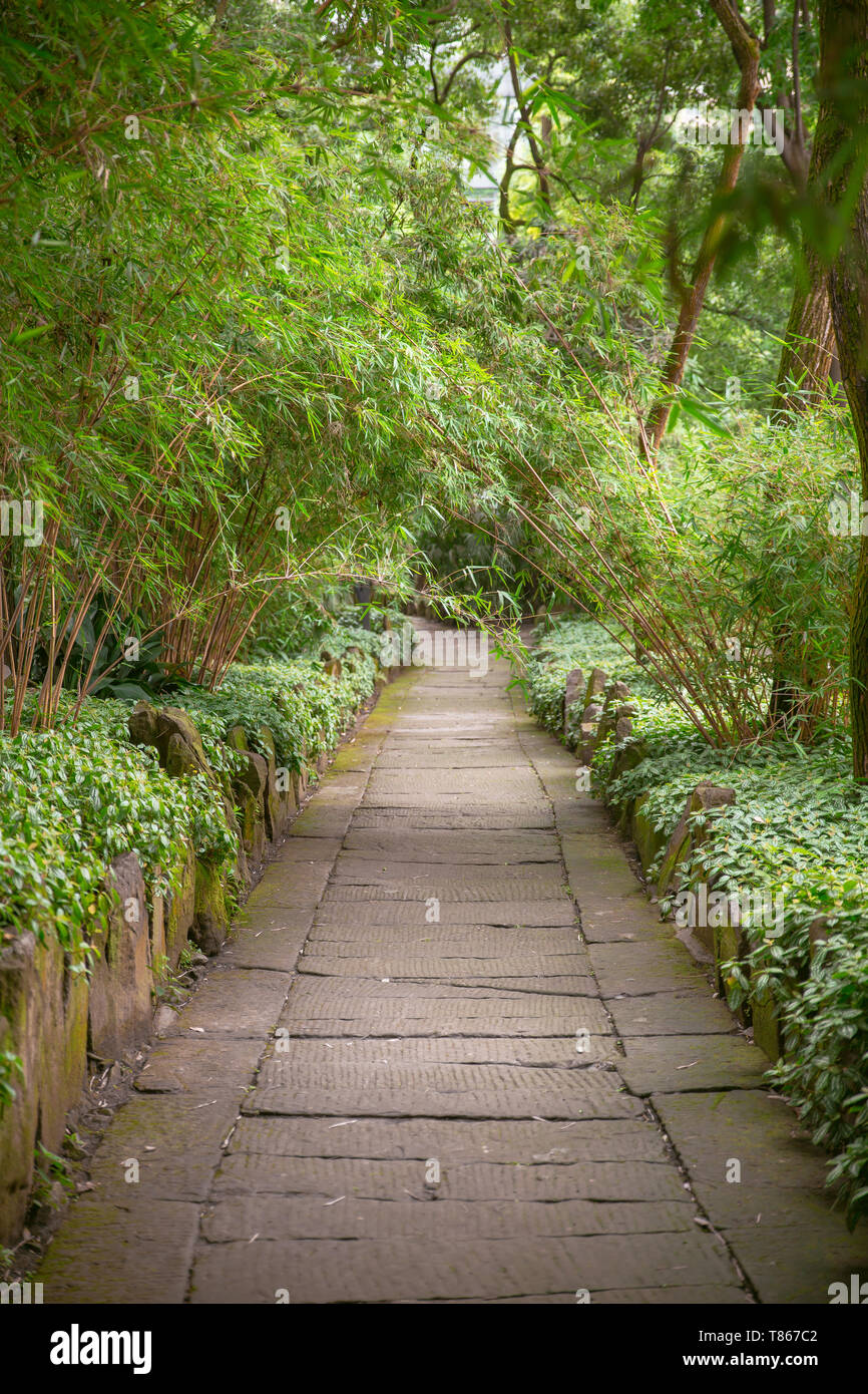 path way in the nature park Stock Photo - Alamy