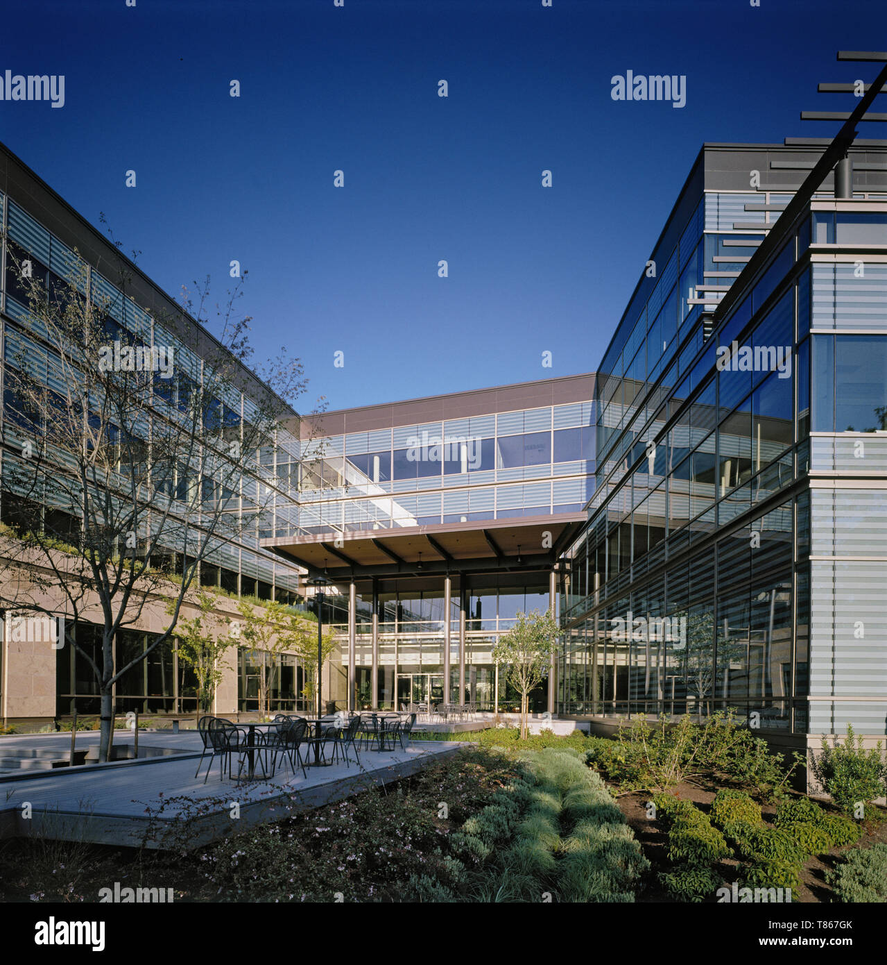 Modern landscaped courtyard hi-res stock photography and images - Alamy