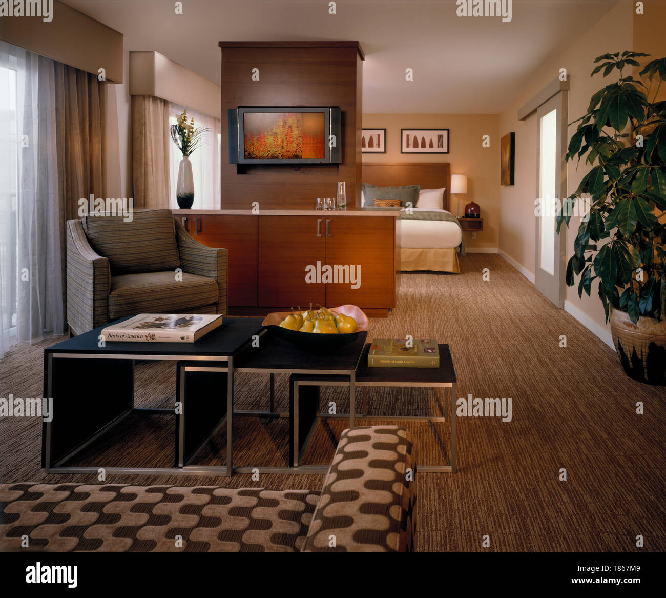 Mid century modern hotel hi-res stock photography and images - Alamy